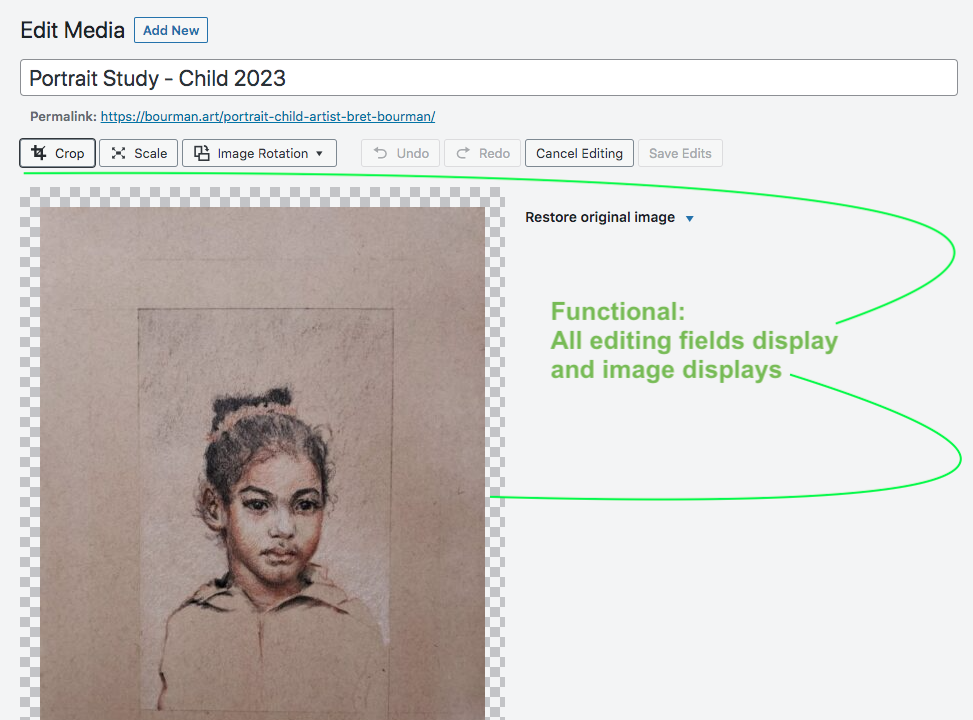 Cannot Edit A Few Images from Edit Media Page within Media Library | WordPress.org
